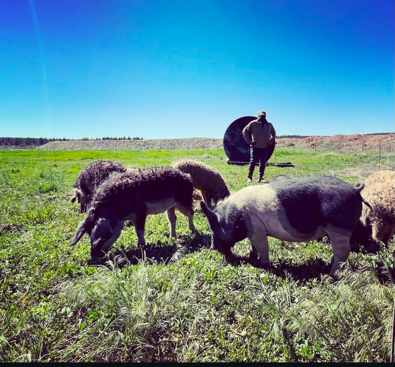 About – Black Ranch Online Store